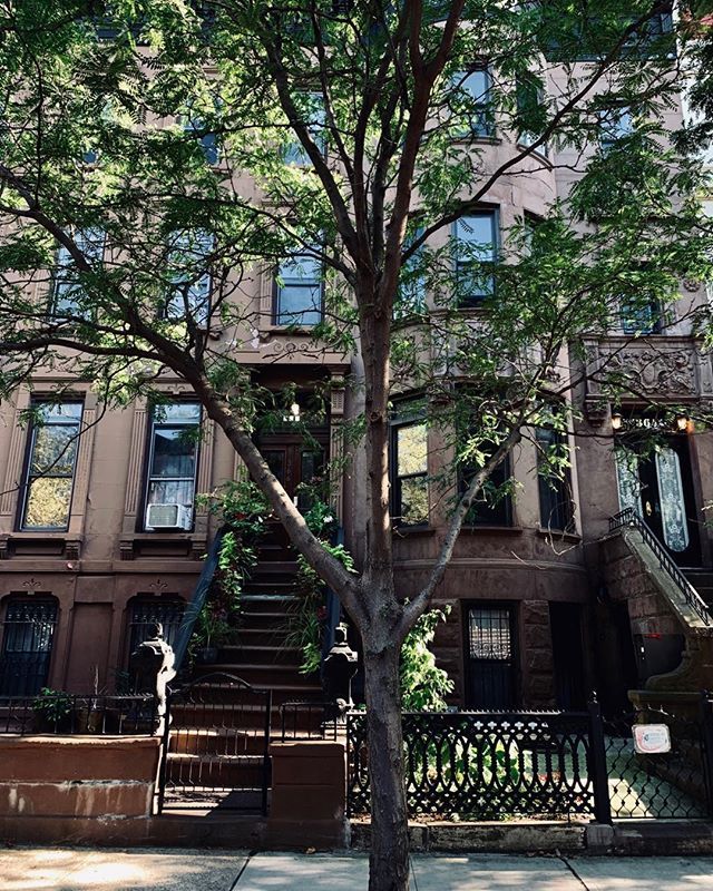 Evening shadows, beautiful stoops. . . . #townhousetherapy#townhouse# ...